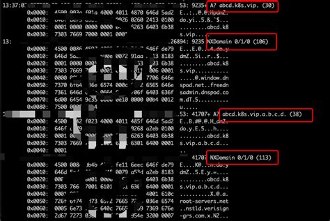 dns 解析问题定位分析及解决 墨天轮