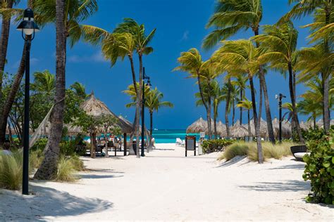 10 Best Things To Do In Aruba 2025 Parade
