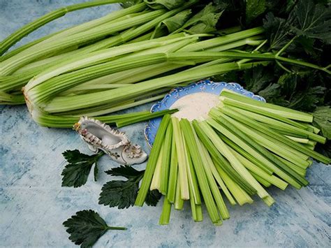 Celery Delne Plant Nursery Lone Star Nursery