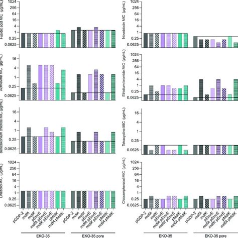 Assessing The Effects Of Dual Single Component Efflux Pump Combinations