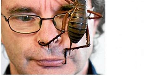 Worlds Biggest Bugs Imgur