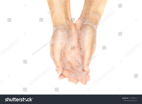 49 Saop 图片、库存照片和矢量图 Shutterstock