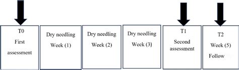 Timeline Of Interventions And Assessments Download Scientific Diagram