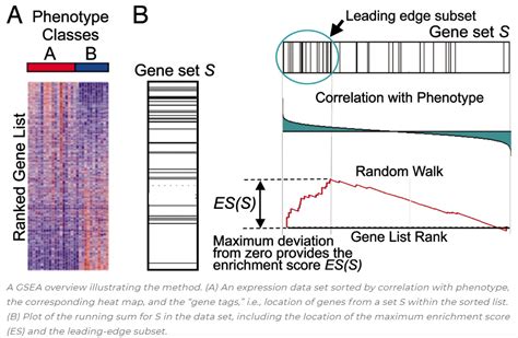 9 Gsea Enrichment Analysis Imp Bridging The Gap For Medicinal Plant