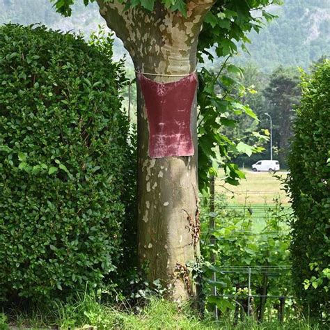Finissage Hanni Schierscher Innen Und Aussen Ii Offizielle Tourismus