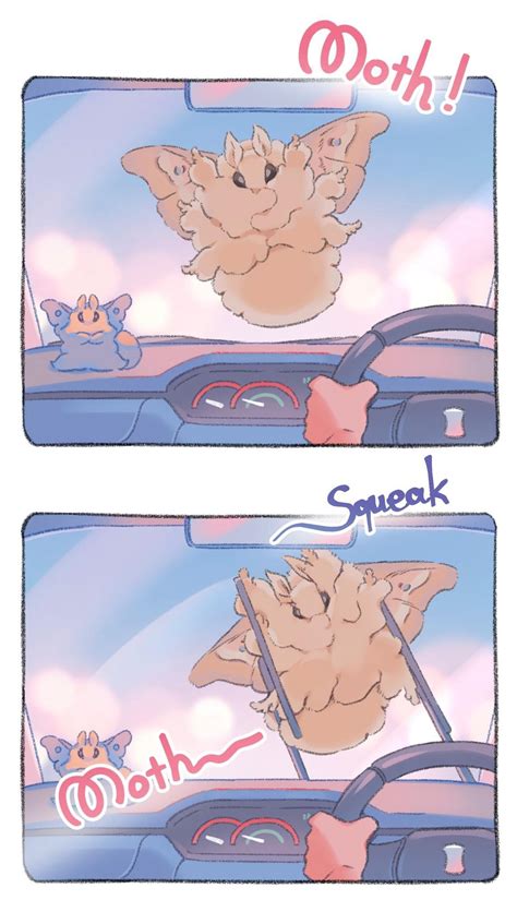 Moth Album On Imgur
