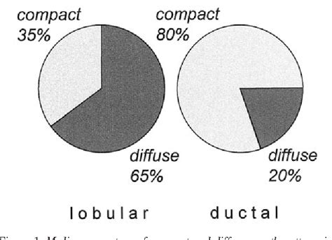 Figure 1 From Diffuse Growth Pattern Affects E Cadherin Expression In