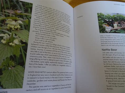 Wild Food The Foraging Foodie