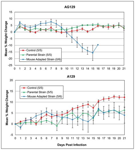 Groups Of A129 And Ag129 Mice Received I P Injections Of 1 3×105 Download Scientific Diagram