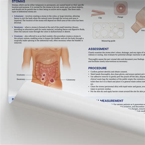 Stoma Care Chart Ostomy Assessment Poster Anatomystuff