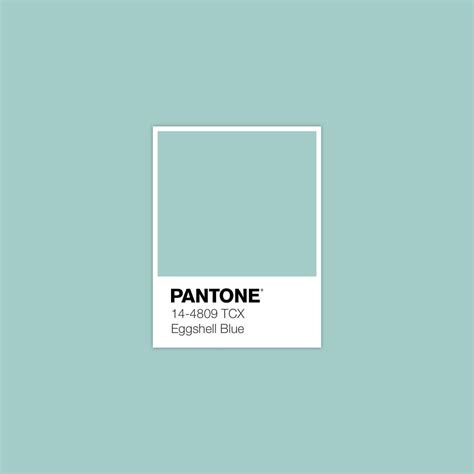 Eggshell Blue Pantone Color Wyvr Robtowner