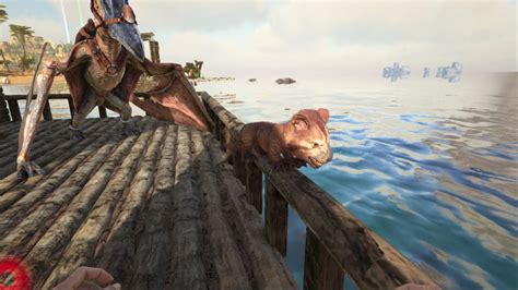 Rare Photo Of A Chibi On A Railing Ark