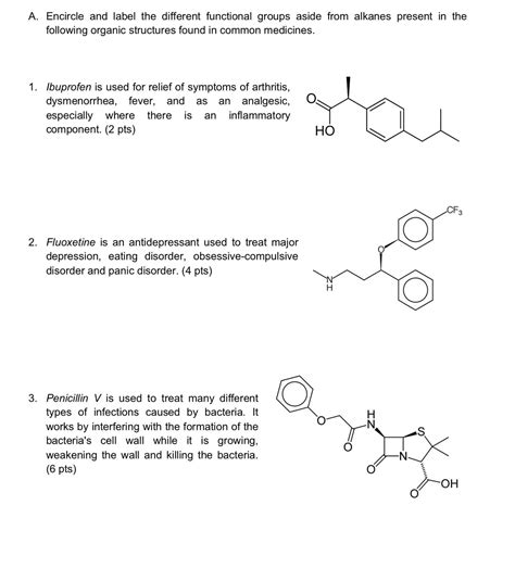 Answered A Encircle And Label The Different Bartleby