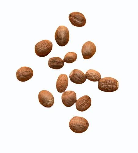 Herit Indica Jai Phal At Rs 610 Kg Jaiphal In Lucknow Id 2851537339797