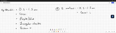 Solved What Is The Size Shape Color Arrangement And Gram Reaction