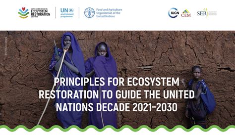 Un Decade On Ecosystem Restoration Forest Landscape Restoration Program