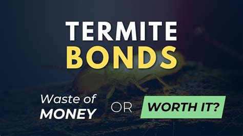The Real Cost Of A Termite Bond In Georgia A 2024 Guide Houzdepotblog