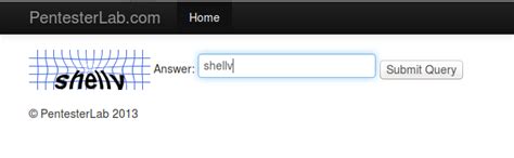 [pentesterlab Write Up] Web For Pentester Ii Captcha