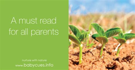 Soy Formula Healthy Or Harmful