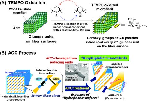 Schematic Diagrams Of A Chemical Characteristics Of Nanocellulose