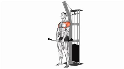 Cable Front Raise A Comprehensive Exercise Guide
