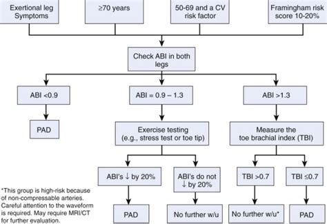 Peripheral Arterial Disease Assessment And Management Thoracic Key