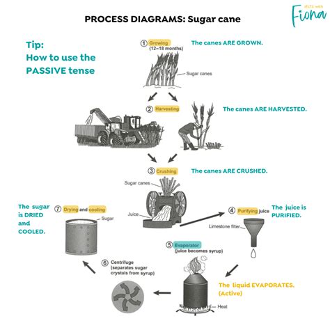 Ielts Process Diagram 5 Simple Steps To Describe A Process