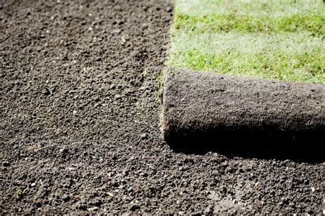 Sodding A Yard On A Budget Budgeting Money