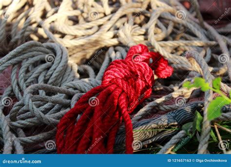 Texture Of Jute Ropes Used In Shibari Japanese Bondage Technique Many