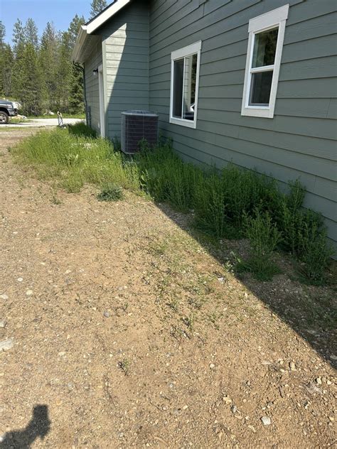 Pre Grass Weed Removal And Prevention Rlandscaping