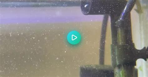 Filter Album On Imgur