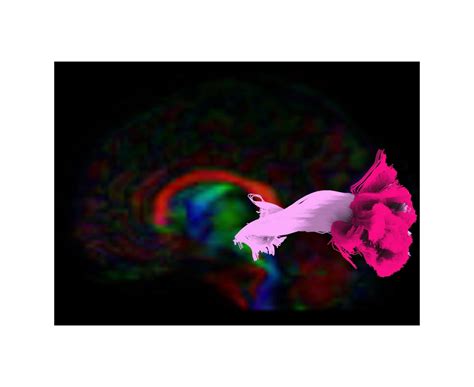 Portfolio Mohammad Hadi Aarabi