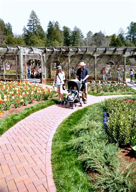 Jonathan Buchsbaum Real Estate Broker Asheville Nc