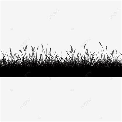 Grass Border Silhouette Grass Border Grass Silhouette Long Grass Png