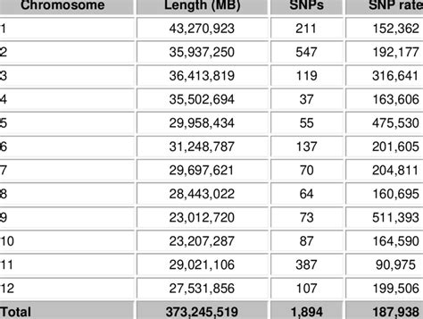 Snps Observed In 1004s In Comparison With Nipponbare Reference Genome