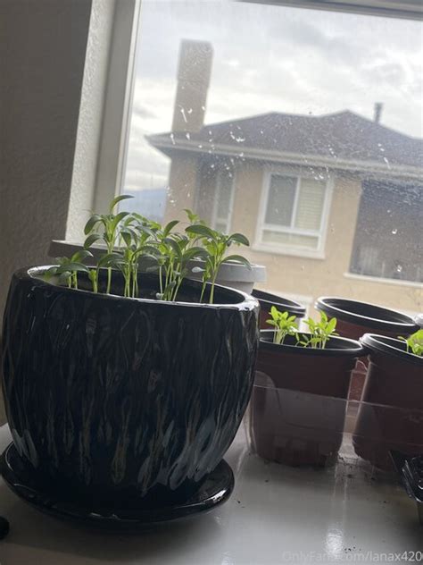 Lanax Lanax420 202 Porn Pic Eporner