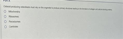 Solved Osteoid Producing Osteoblasts Must Rely On This