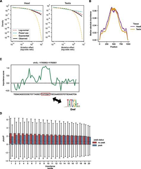 Saturation In Silico Mutagenesis Results A Mutational Effect Sizes Download Scientific Diagram