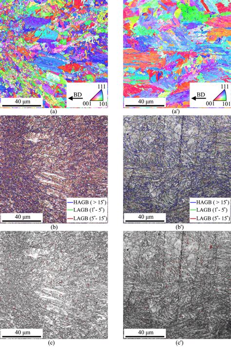 Results Of The Ebsd Analysis For The Vertical Specimens From Their