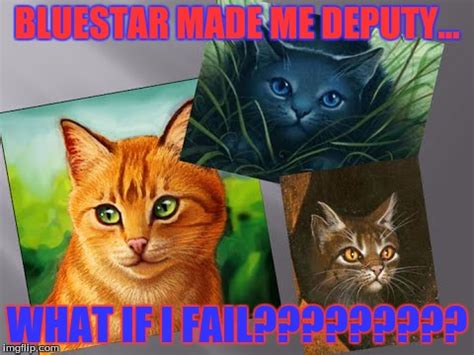 Firestar Memes And S Imgflip