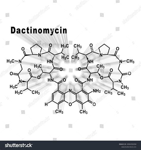 Dactinomycin Cancer Chemotherapy Drug Structural Chemical Stock