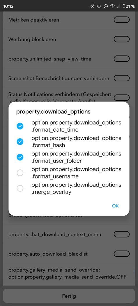 Bug Snapenhance Options Show As Strings · Issue 40 · Rhunksnapenhance · Github