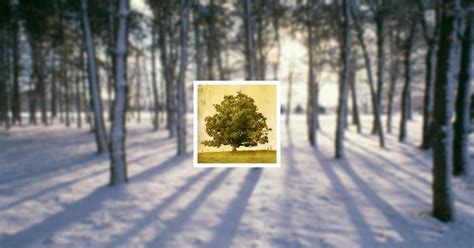 Obituary Thomas J Luchsinger Sr Of Boonville New York Mills