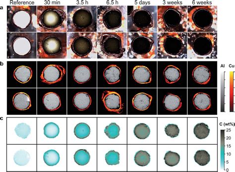 Carbon Distribution On Alumina Refining Catalyst Supports Impregnated