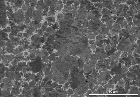 Figure A 8 Bse Image Of The As Built Microstructure Laves Phase Are