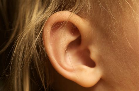 All About Resources For Hearing Loss And Deafness Needymeds Blog