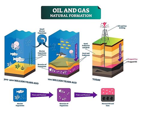 Fossil Fuels What Type Of Energy Deals