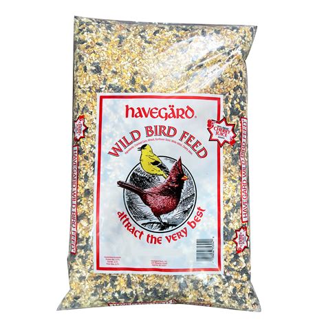 Bird Feed Good At Trudi Abbas Blog