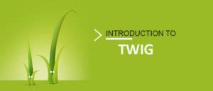 Let S Know A Bit About Best PHP Template Engine Twig