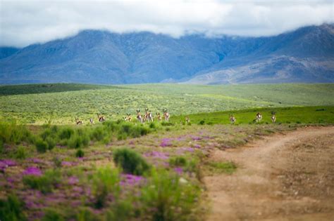 reflecting on 2023 🌿 gidi meir morris posted on the topic linkedin